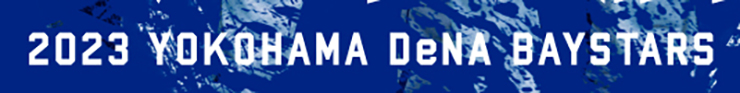 広告ビジュアル『横浜DeNAベイスターズ』の使用フォントを解説 ｜デザインを深掘り MdN