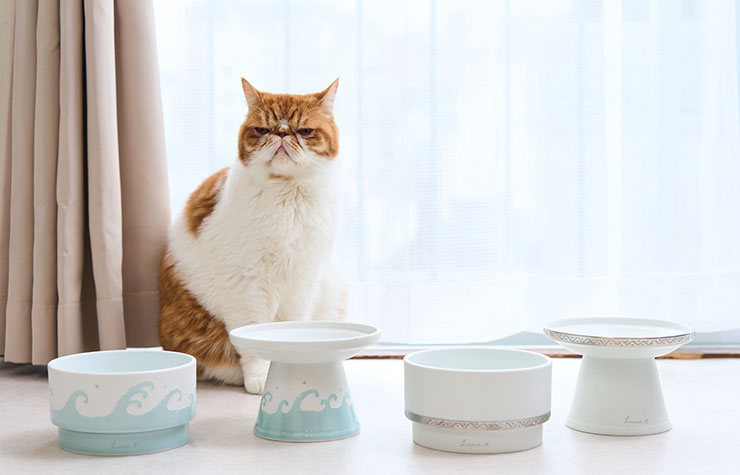 三和堂、小型ペット用フードボウル＆ウォーターボウル「Lica.t」を発売 ｜デザインを深掘り MdN