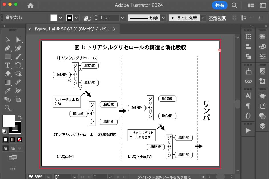半年間の無料トライアルをスタート！ Adobe代替ツールとして期待高まる「Affinity」を徹底解剖 ｜デザインを深掘り MdN