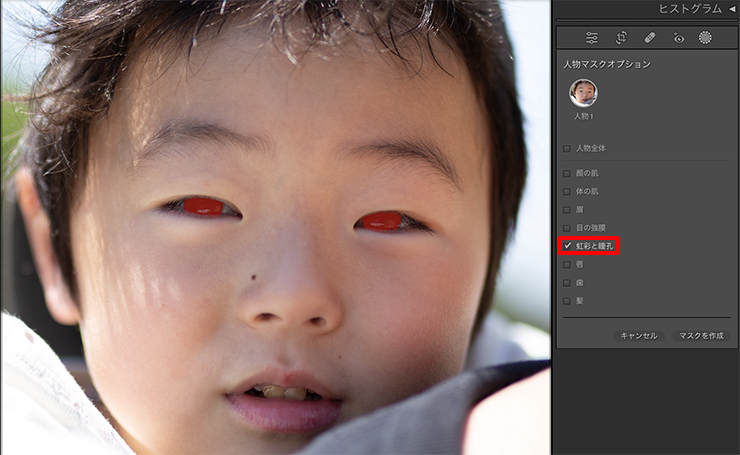 Lightroomで写真を部分補正する方法01（「マスクの種類と機能解説」編）|画像補正|Lightroom逆引き辞典 ｜デザインを深掘り MdN