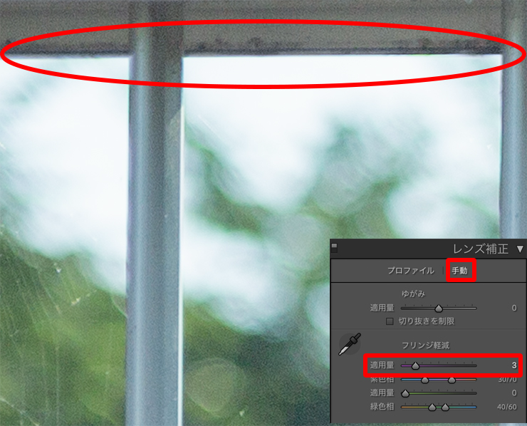 Lightroomのレンズ補正の使い方を解説（色収差・フリンジを除去する方法／レンズプロファイルの概要）|画像補正|Lightroom逆引き辞典 ｜デザインを深掘り MdN