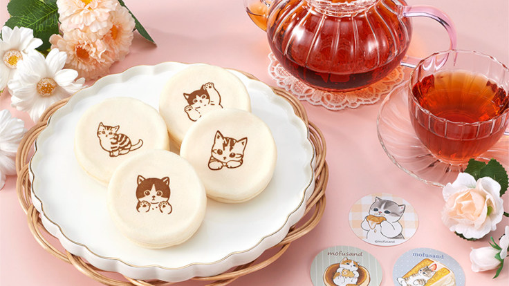 バンダイ、“サメにゃん”で人気のmofusandと初コラボした「まんまる焼き」を発売 ｜デザインを深掘り MdN