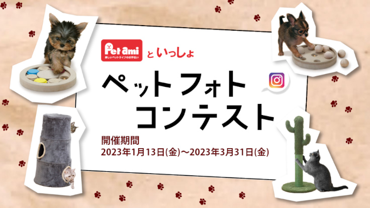 Pet amiブランドを展開するコメリが「Pet amiといっしょ♪ペットフォトコンテスト」を開催中 ｜デザインを深掘り MdN