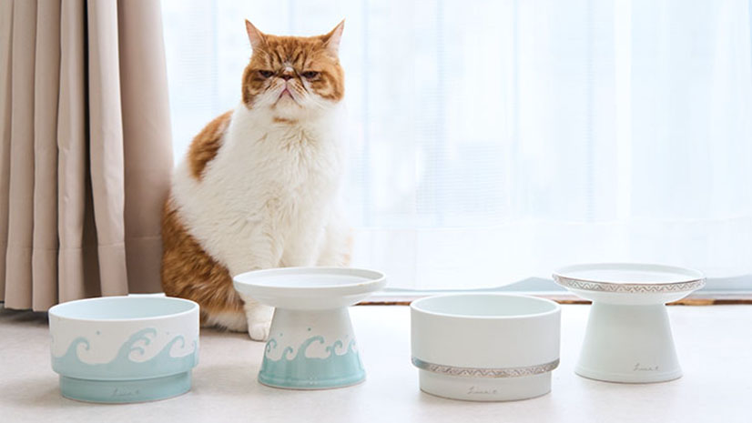 三和堂、小型ペット用フードボウル＆ウォーターボウル「Lica.t」を発売 ｜デザインを深掘り MdN