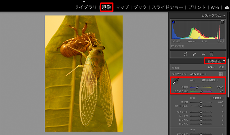 【最重要】Lightroomで色温度・色かぶりを補正する（ホワイトバランスの基本操作）|明るさ・色補正|Lightroom逆引き辞典 ｜デザインを深掘り MdN