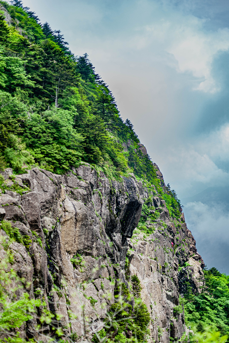 Lightroomで写真のかすみを除去する方法（かすみ除去と明瞭度の違いも解説）|画像補正|Lightroom逆引き辞典 ｜デザインを深掘り MdN
