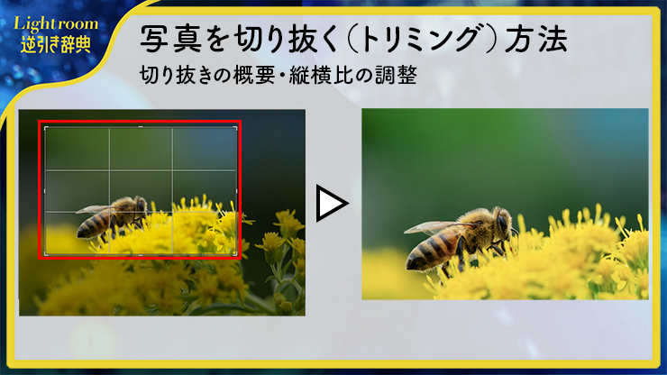 Lightroomで写真を切り抜く・トリミングする方法（切り抜きの基本・概要・縦横比の調整）|画像補正|Lightroom逆引き辞典 ｜デザインを深掘り MdN