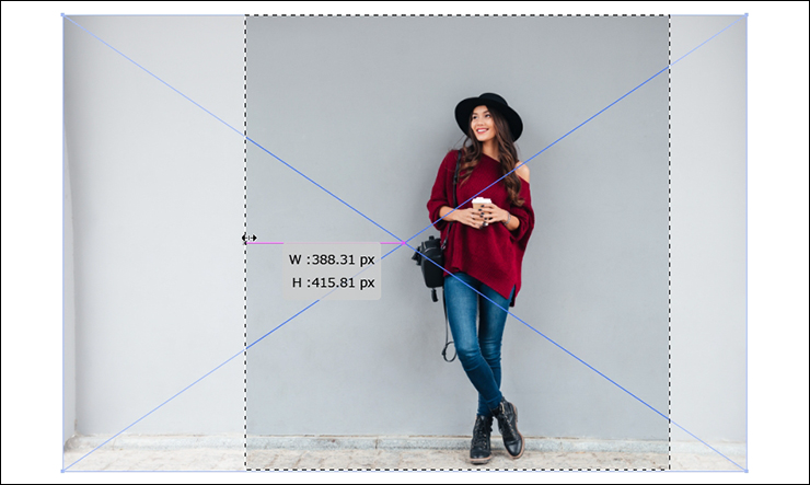 Illustrator（イラレ）で画像を切り抜く方法|画像|Illustrator逆引き辞典 ｜デザインを深掘り MdN