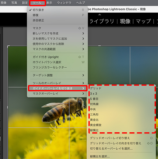 Lightroomで写真を切り抜く・トリミングする方法（切り抜きの基本・概要・縦横比の調整）|画像補正|Lightroom逆引き辞典 ｜デザインを深掘り MdN
