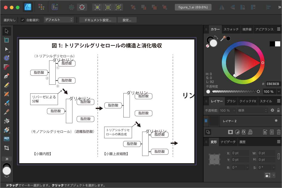 半年間の無料トライアルをスタート！ Adobe代替ツールとして期待高まる「Affinity」を徹底解剖 ｜デザインを深掘り MdN