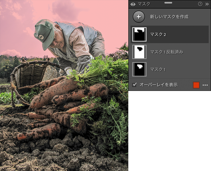 Lightroomで逆光の写真を明るく補正する（写真を明るく補正して救済する方法）／Lightroom逆引き辞典「人物補正」編|人物補正| ｜デザインを深掘り MdN