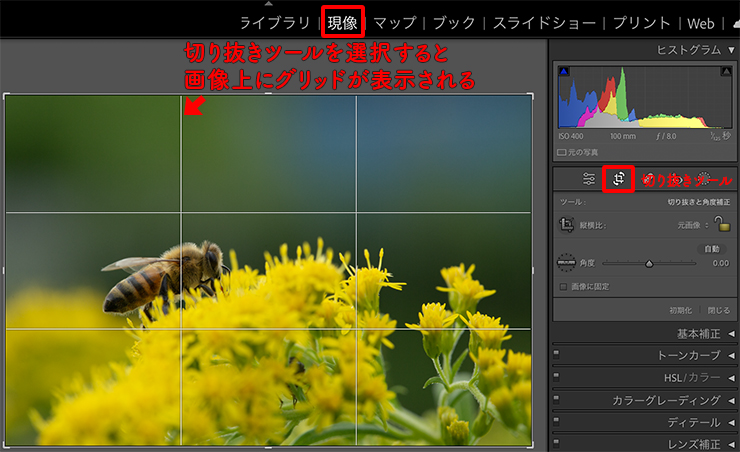 Lightroomで写真を切り抜く・トリミングする方法（切り抜きの基本・概要・縦横比の調整）|画像補正|Lightroom逆引き辞典 ｜デザインを深掘り MdN