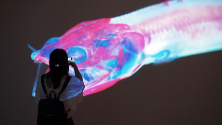 フォントワークス、2025年3月31日で「Monotype株式会社」へと商号を変更 ｜デザインを深掘り MdN